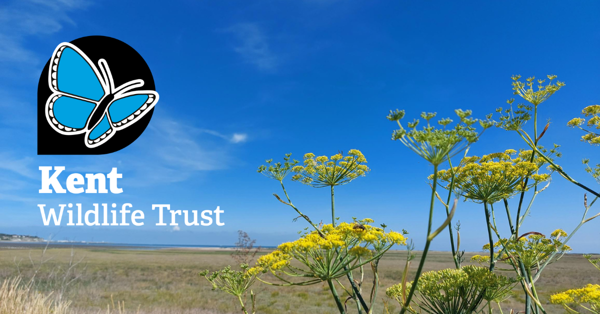 Kent Wildlife Trust Shop