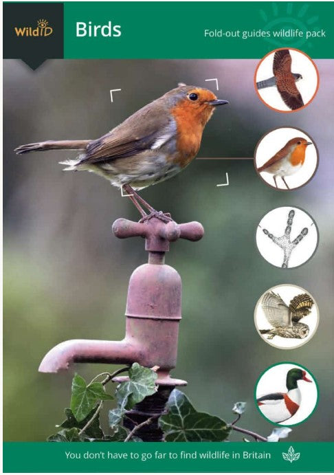 Wild ID Pack Birds – Kent Wildlife Trust
